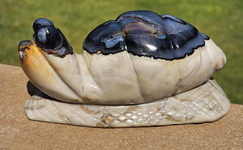 Volcano Agate Snail Carvings - Etsy