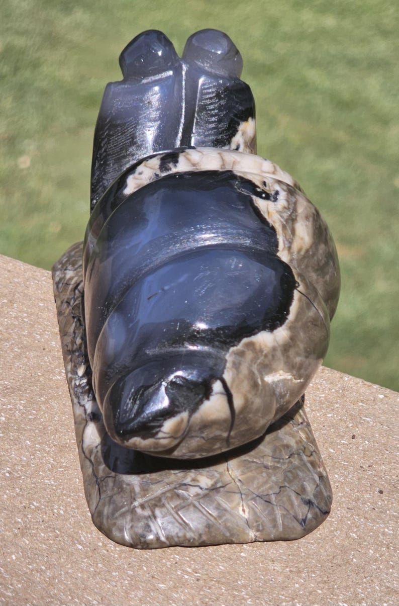 Volcano Agate Snail Carvings - Etsy