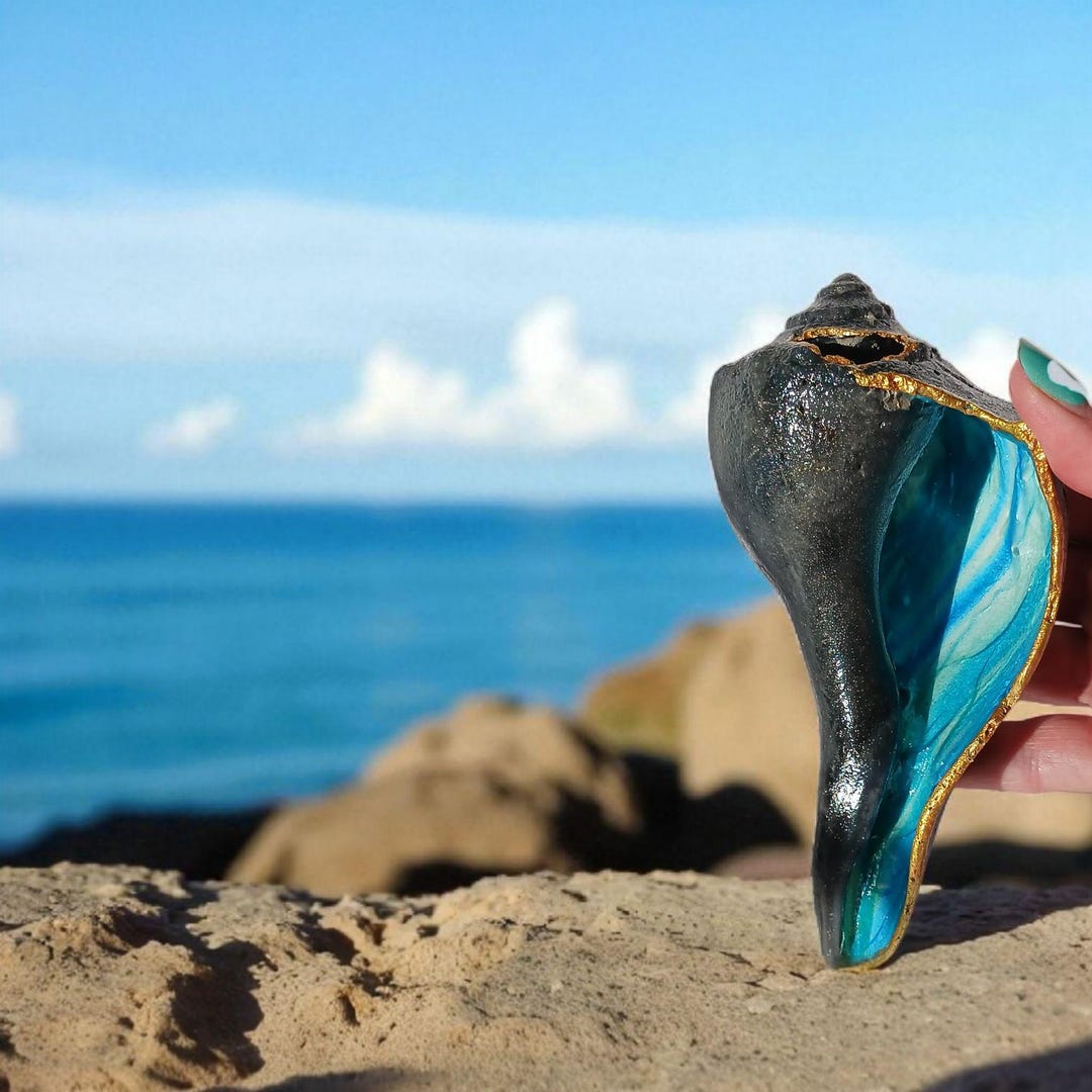Whelk Decoupage Shell: Nautical Ocean Decor With Gold Trim - Etsy