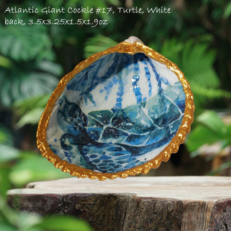 Decoupage Atlantic Giant Cockle, (clam) Shell Ring Dish: Nautical Ocean ...