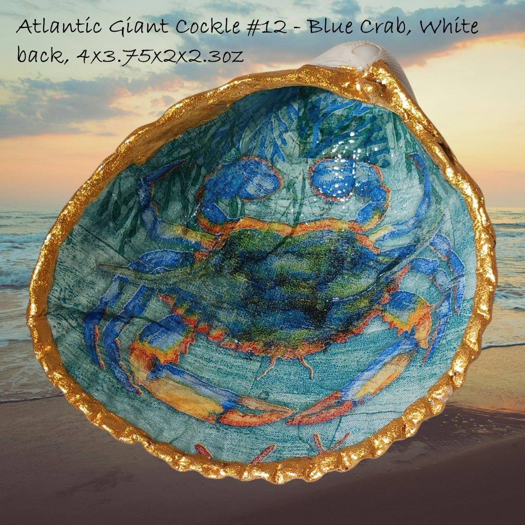 Decoupage Atlantic Giant Cockle, (clam) Shell Ring Dish: Nautical Ocean ...