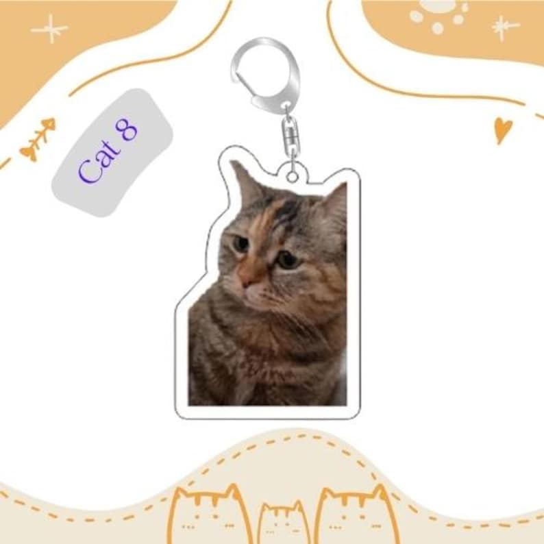 Funny Cat Meme Keychain – Cute Cat Lover Gift, Bag Charm, Lanyard ...