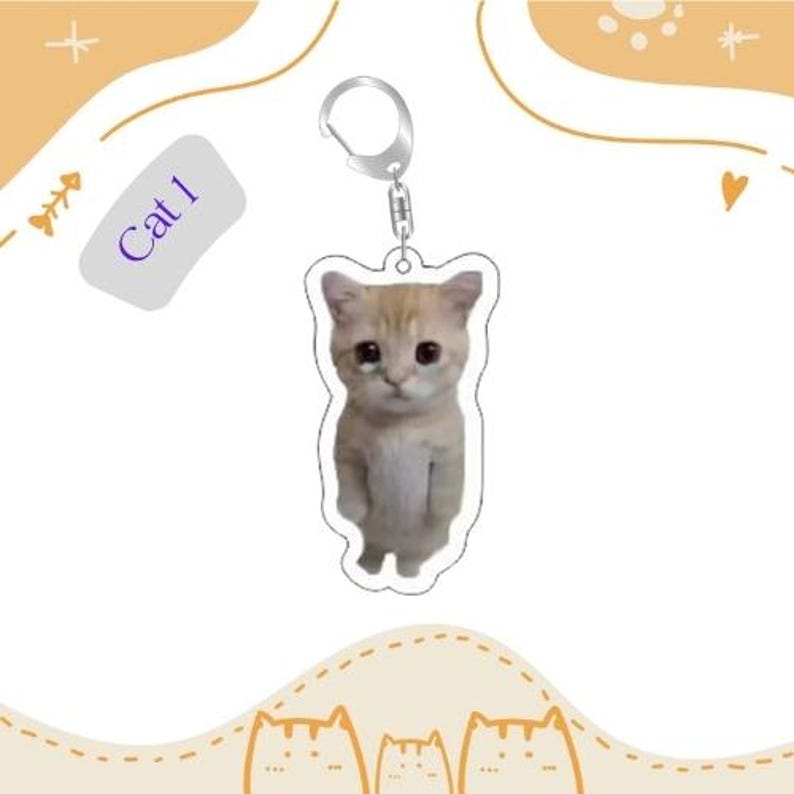 Funny Cat Meme Keychain – Cute Cat Lover Gift, Bag Charm, Lanyard ...