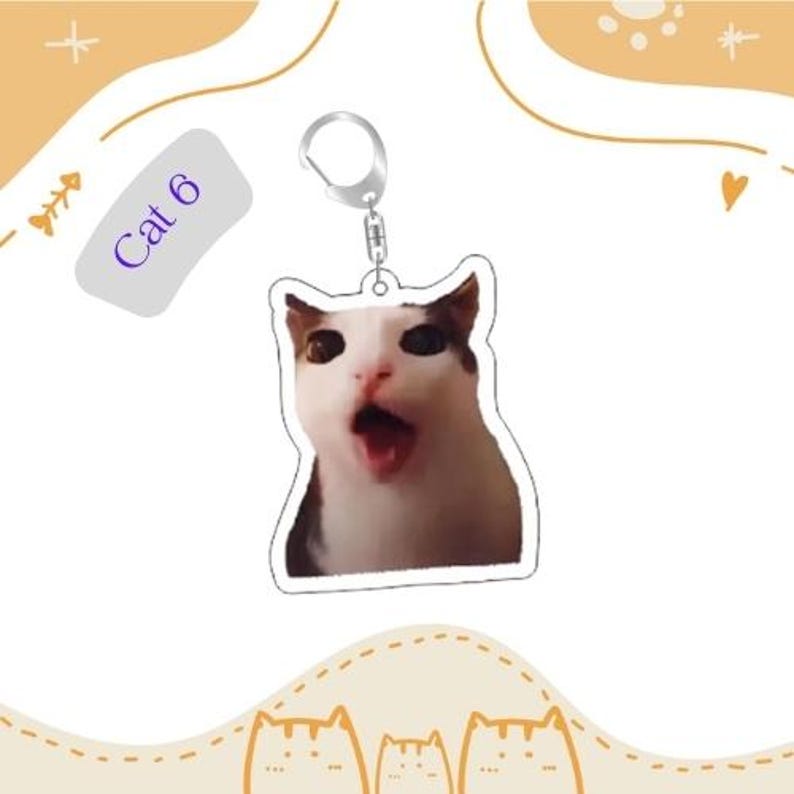 Funny Cat Meme Keychain – Cute Cat Lover Gift, Bag Charm, Lanyard ...