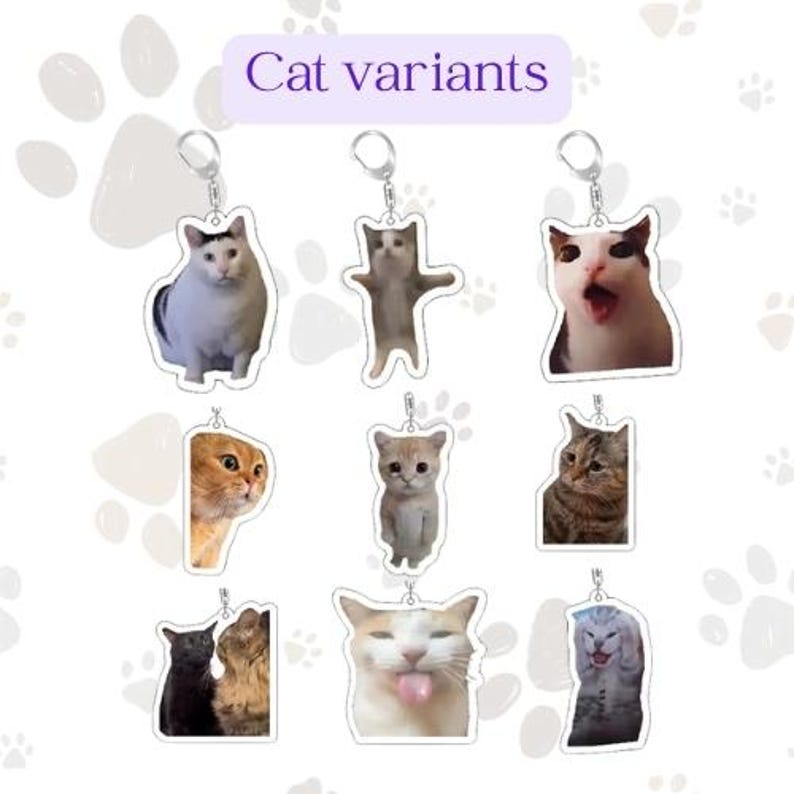 Funny Cat Meme Keychain – Cute Cat Lover Gift, Bag Charm, Lanyard ...