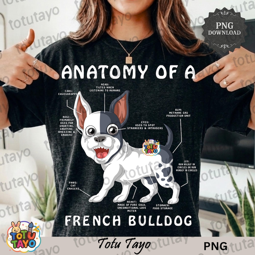 Anatomy of French Bulldog PNG, Educational Dog Illustration, Cute ...