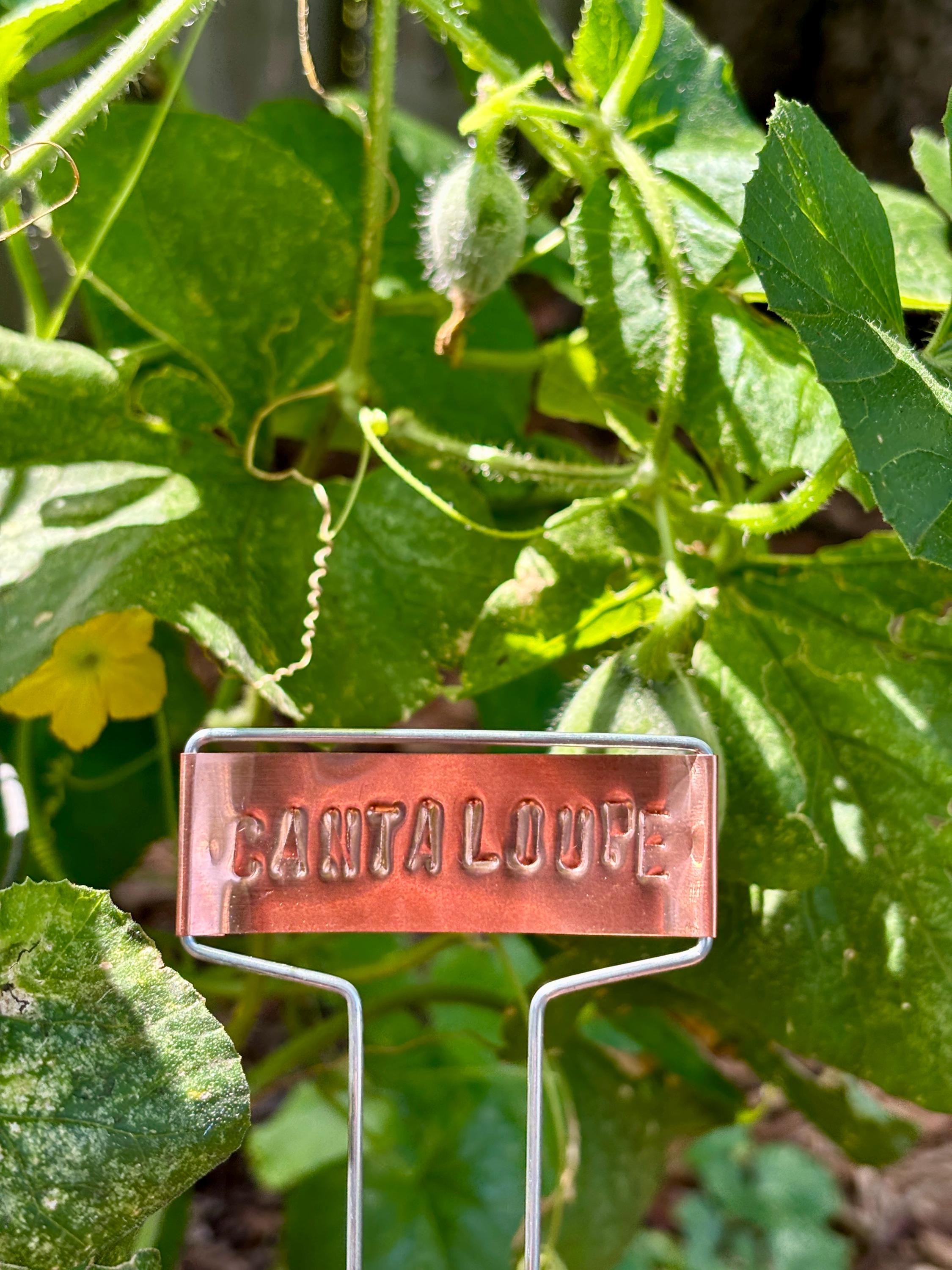 Custom Plant Stakes — Plant Labels — Hand Stamped — Copper - Etsy