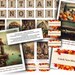Fall Bulletin Board Pack: Fall Into Learning Classroom Posters + Bonus ...