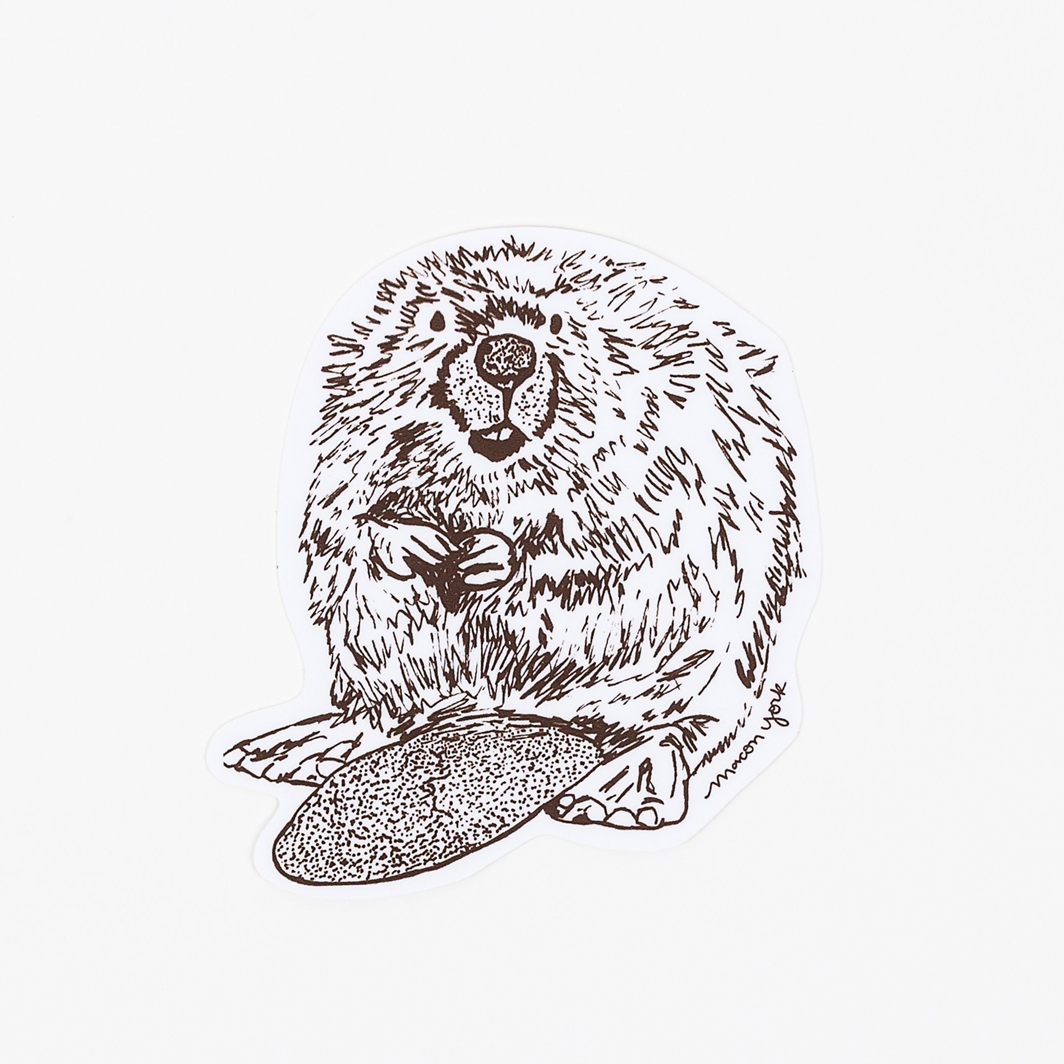 Appalachian Beaver Vinyl Sticker – Nature Lover & Wildlife Folk Art ...