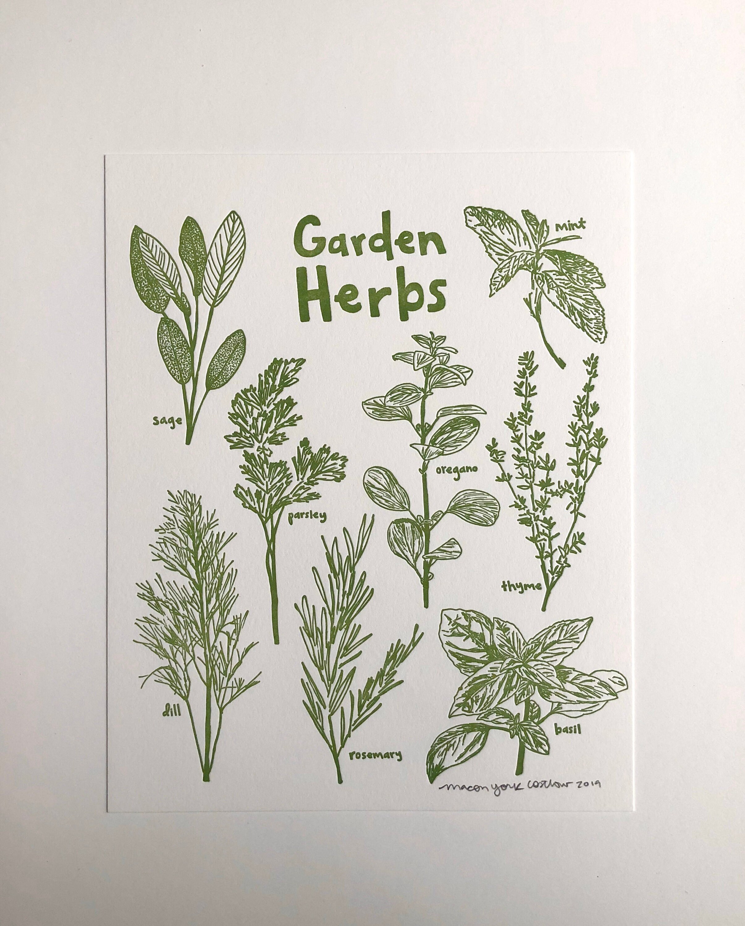 GARDEN HERBS Letterpress Print Wall Art Herbal Medicine | Etsy