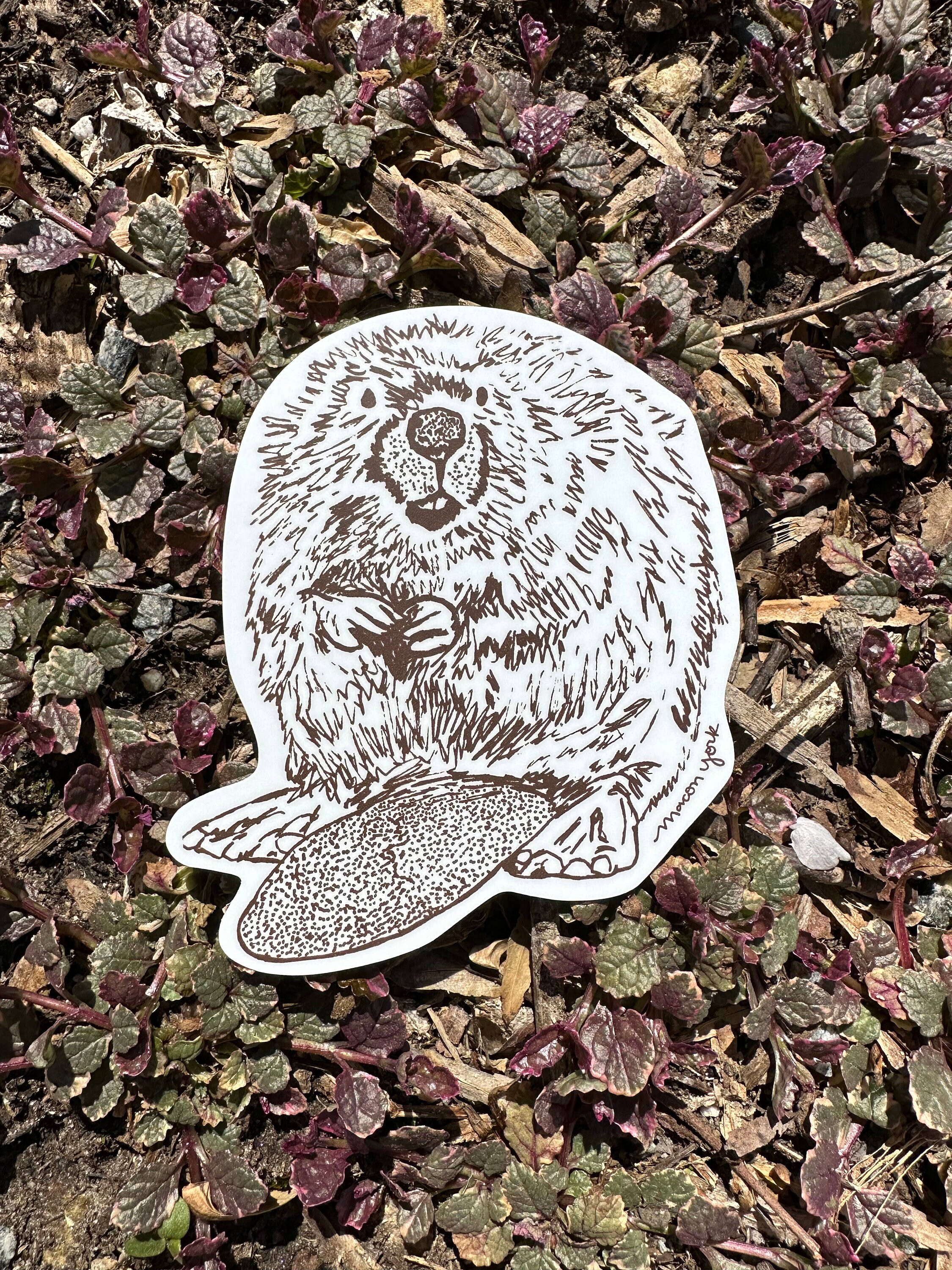 Appalachian Beaver Vinyl Sticker – Nature Lover & Wildlife Folk Art ...