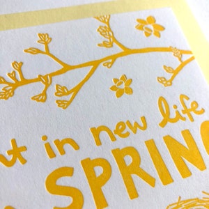 DELIGHT in NEW LIFE This Spring, Letterpress Greeting Card, Easter, New ...
