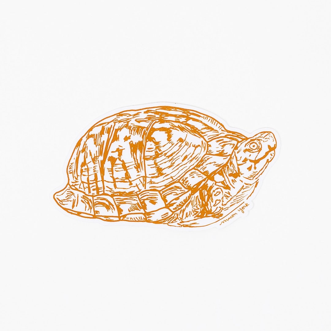 BOX TURTLE Vinyl Sticker, Appalachian Fauna, Nature Lover, - Etsy