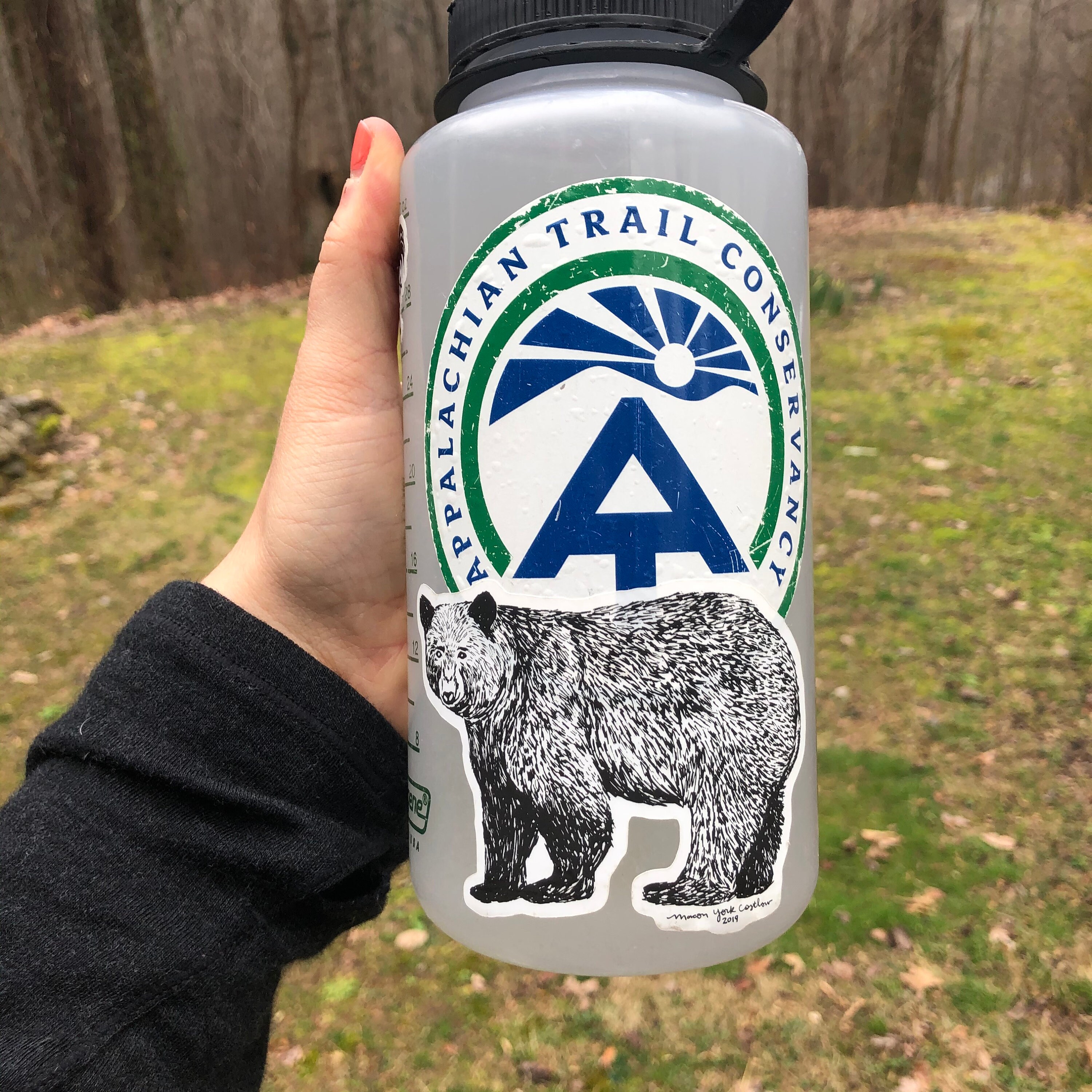 BLACK BEAR Vinyl Sticker / Bear Bumper Sticker / Nature Lover - Etsy