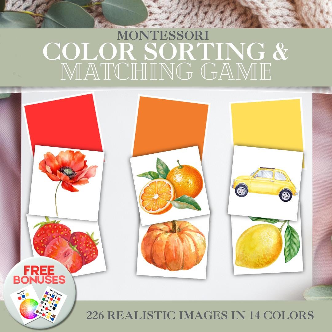 Montessori Color Sorting Matching Game | 14 Colors | 226 Images + 2 ...