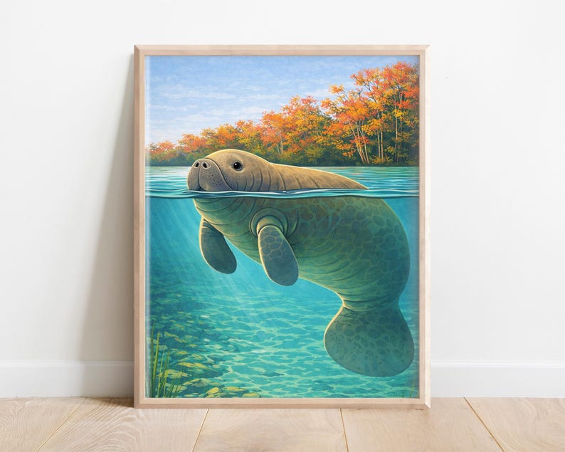 Florida Manatee Wall Art Print Coastal Ocean Animal Artwork Manatee ...