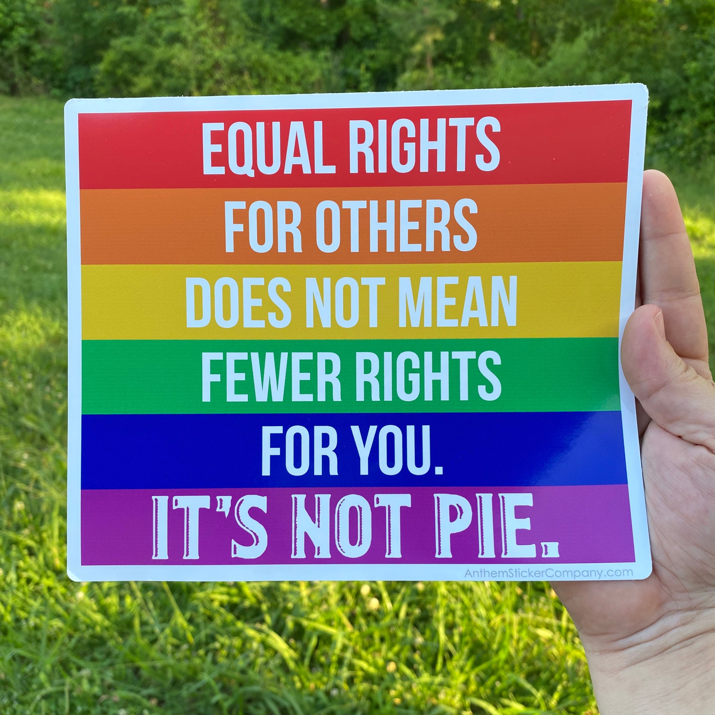 LARGE 6" WIDE Equal Rights for Others (it's Not Pie) Vinyl Sticker - Etsy
