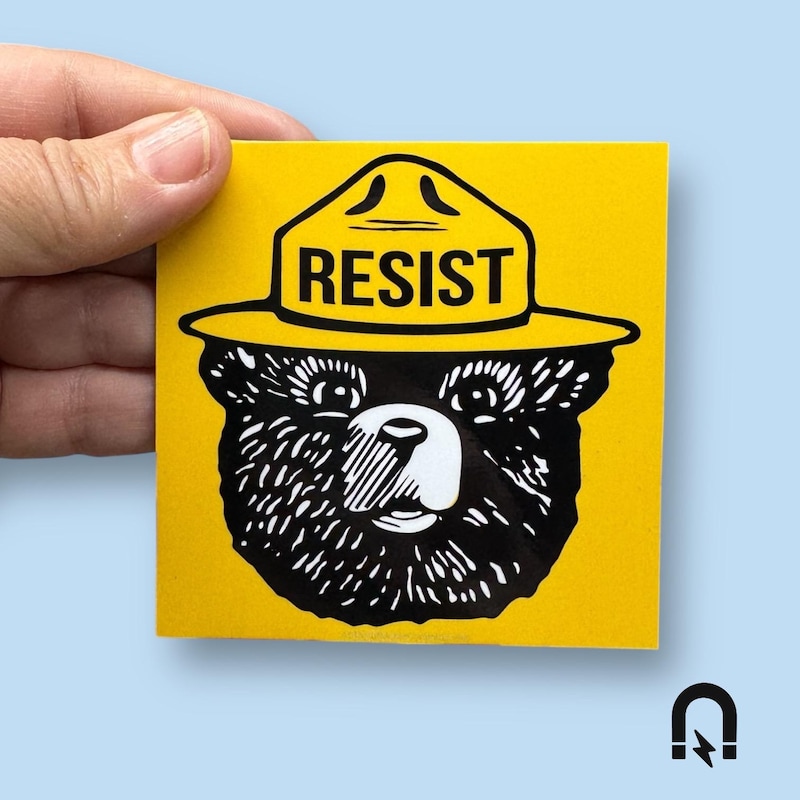 Car Magnet Resistance - Etsy