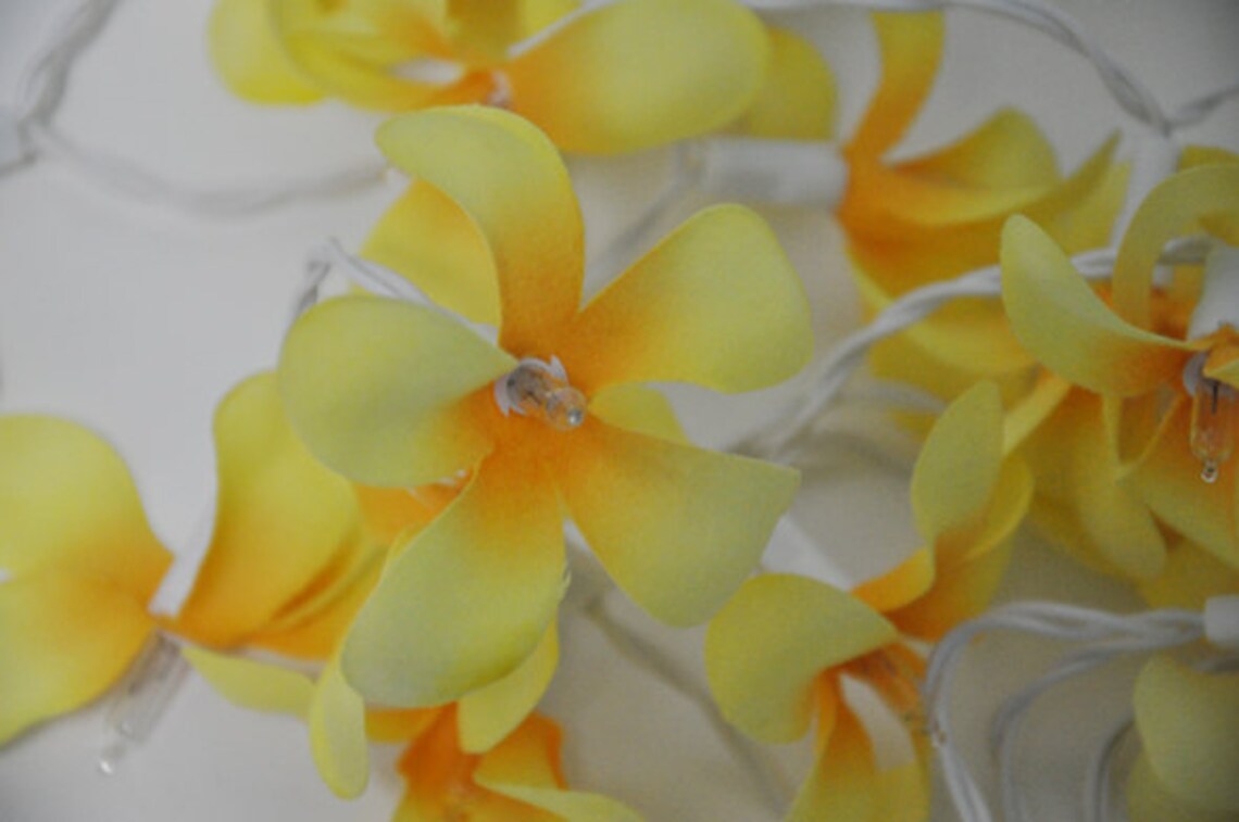 Yellow With Orange Frangipani Flower String Lights for - Etsy