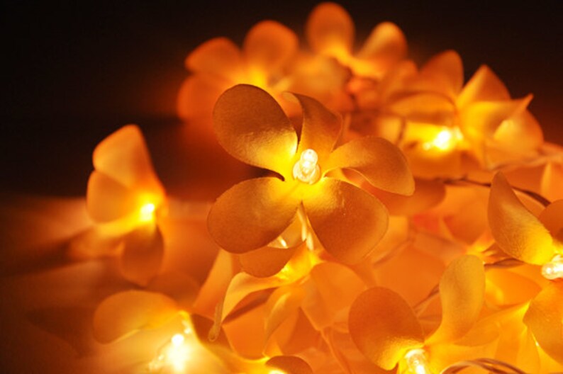 Yellow With Orange Frangipani Flower String Lights for - Etsy