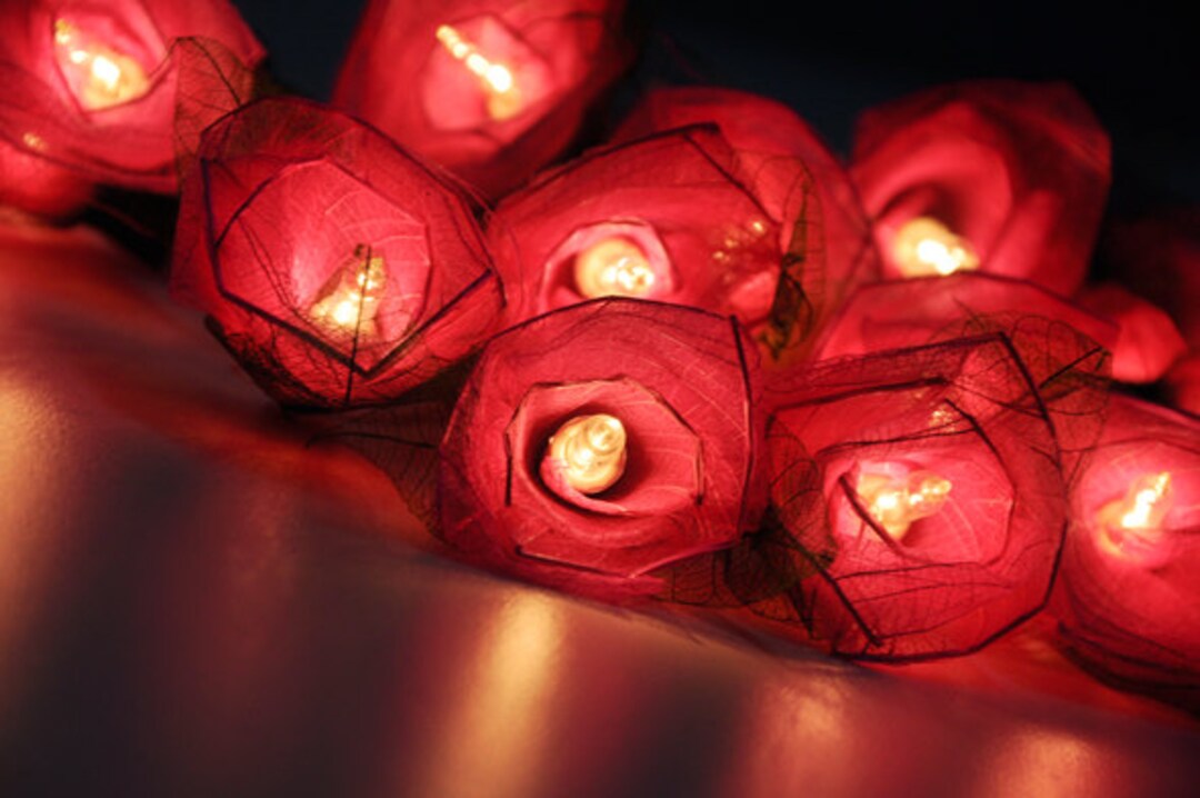 Pink Rose String Lights for Patio,wedding,party and Decoration 20 Bulbs ...