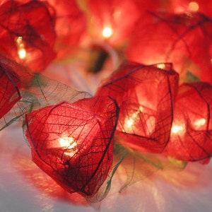 Red Rose String Lights for Patio,wedding,party and Decoration, Wedding ...