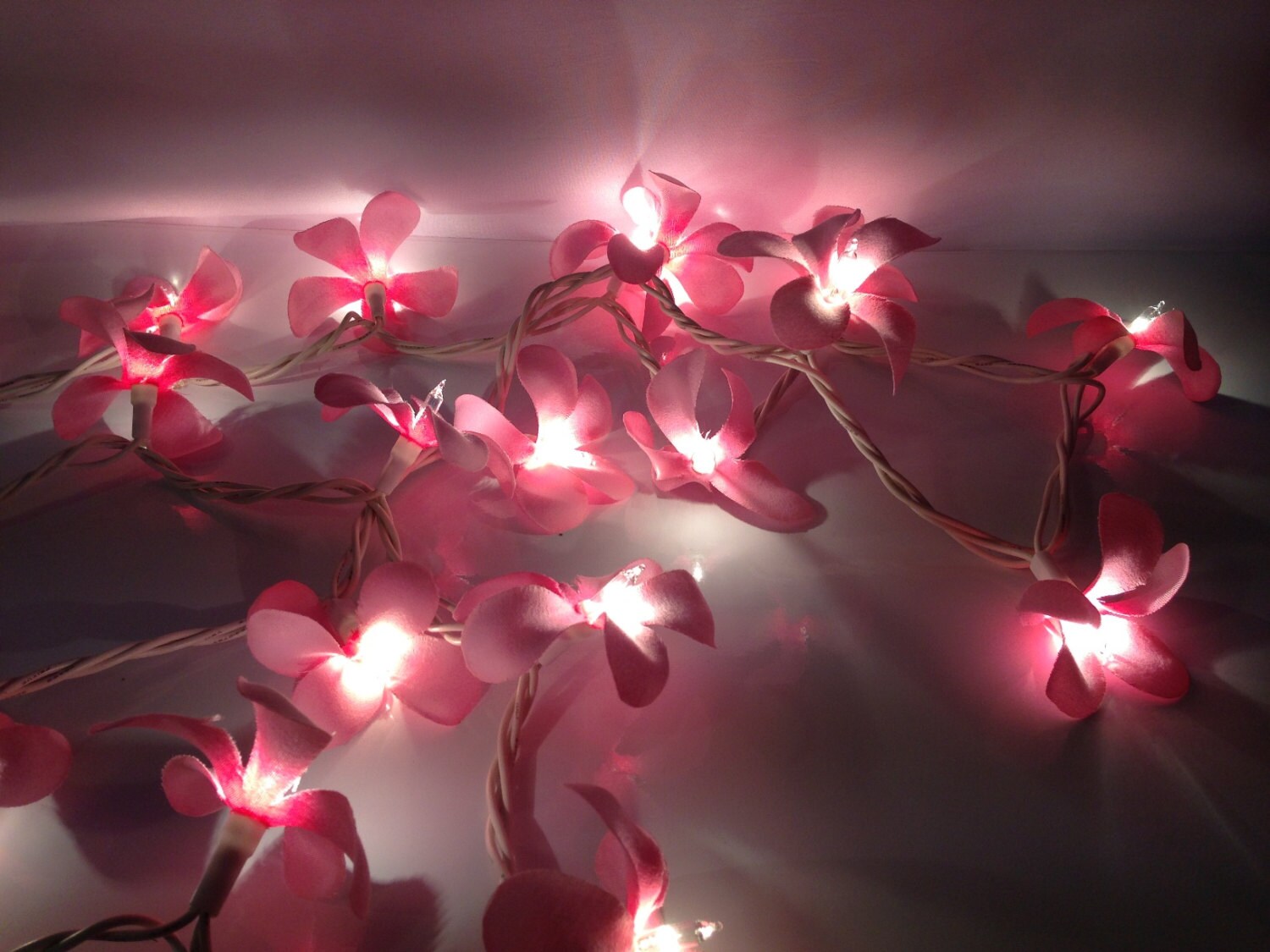 Sweet Pink Frangipani Flower String Lights for | Etsy