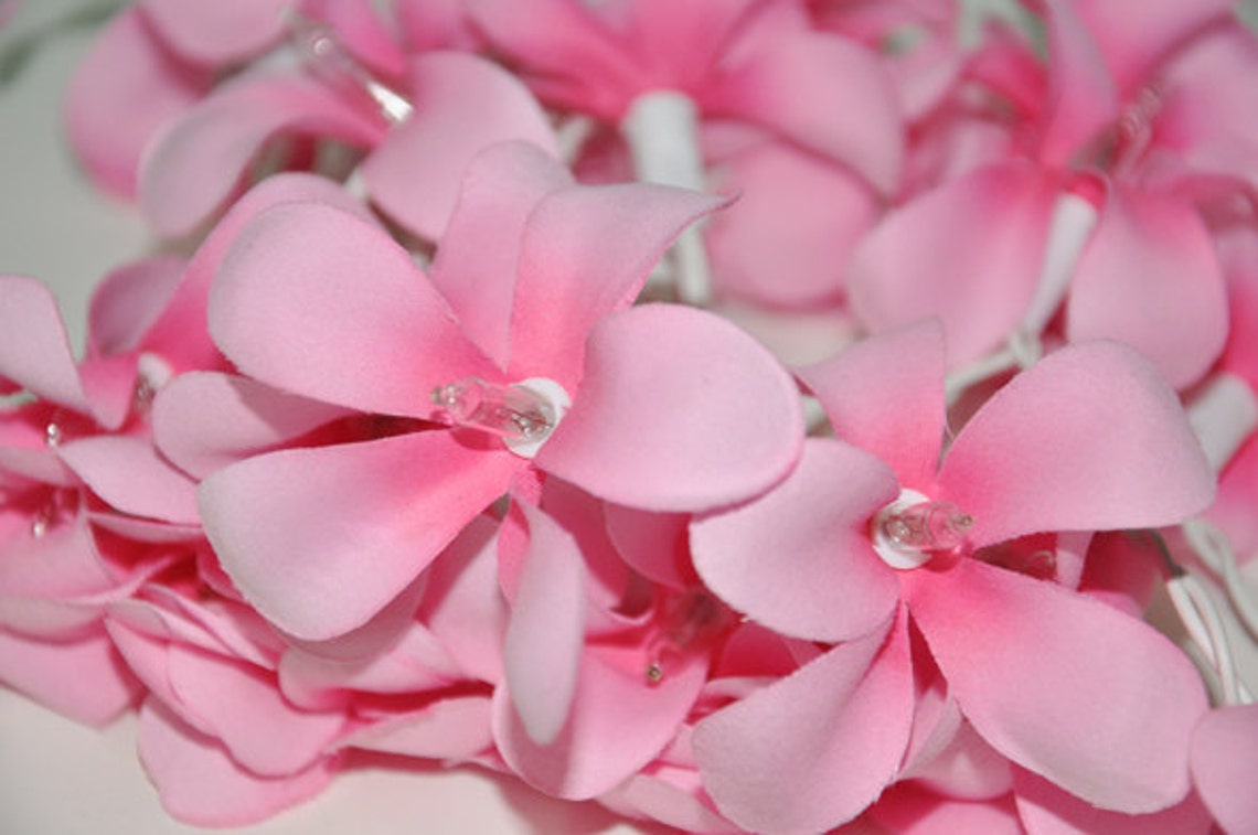 Sweet Pink Frangipani Flower String Lights for - Etsy