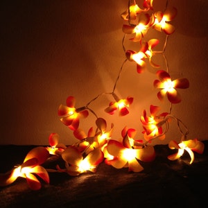 Vintage Yellow With Orange Frangipani Flower String Lights Garlands for ...