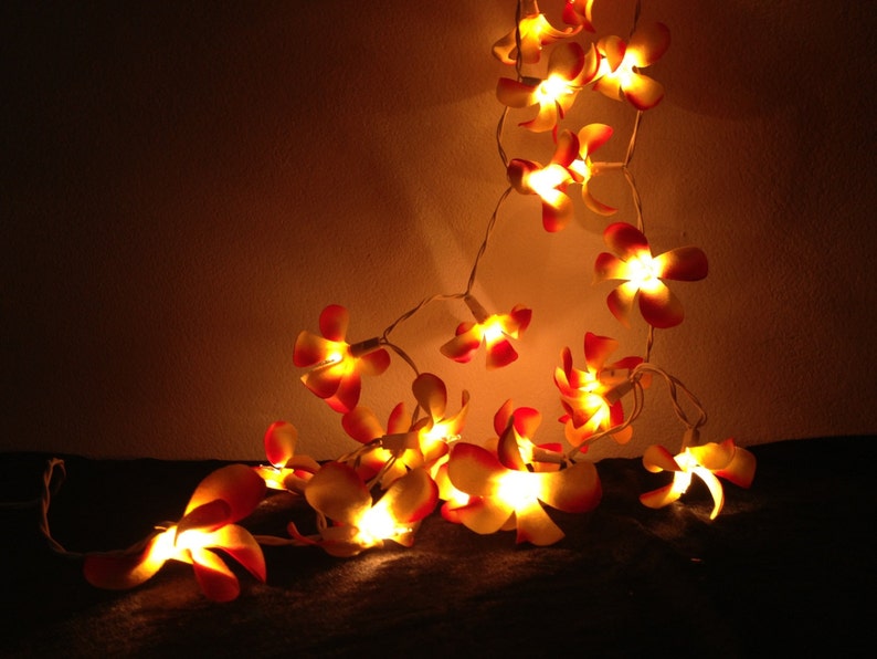 Vintage Yellow With Orange Frangipani Flower String Lights - Etsy