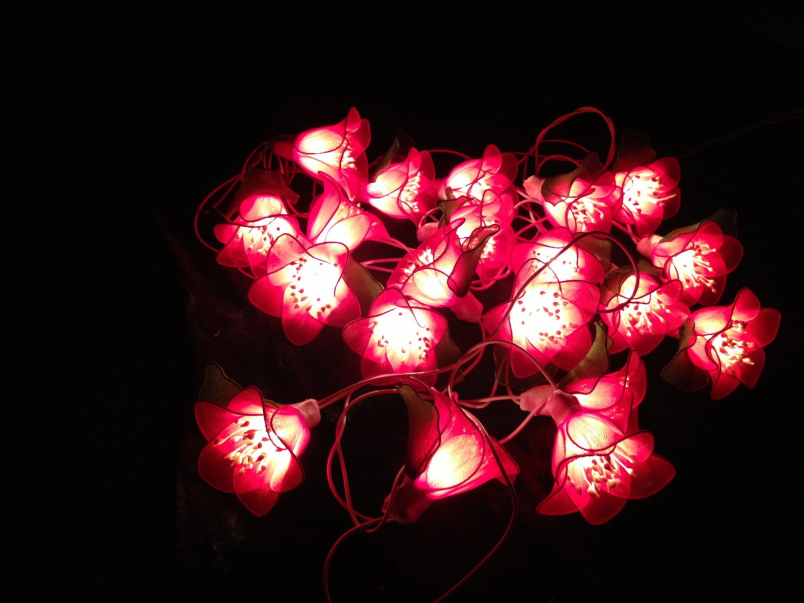 Red Flower With Leaf String Lights for Patioweddingparty and - Etsy