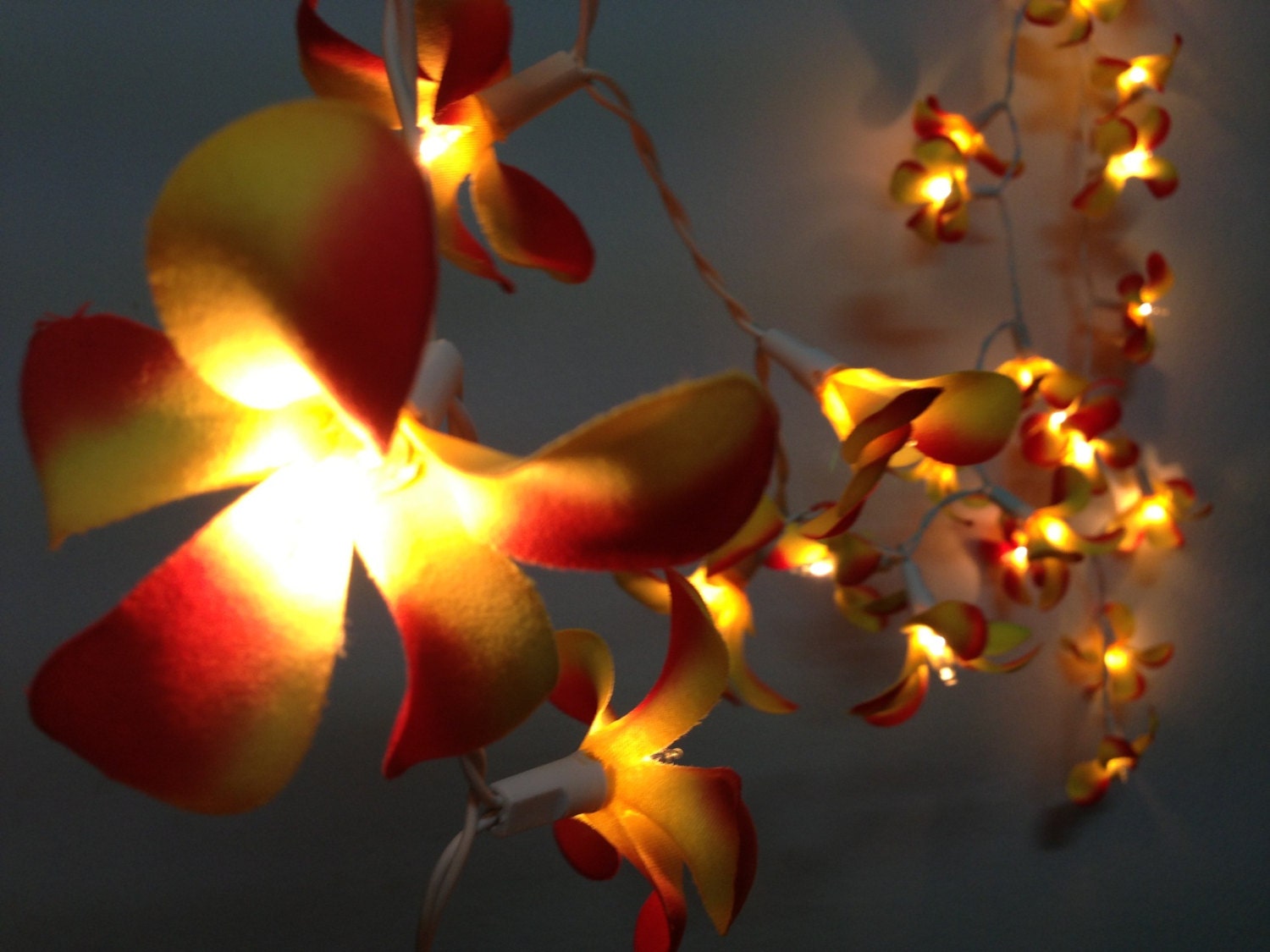 Vintage Yellow With Orange Frangipani Flower String Lights | Etsy