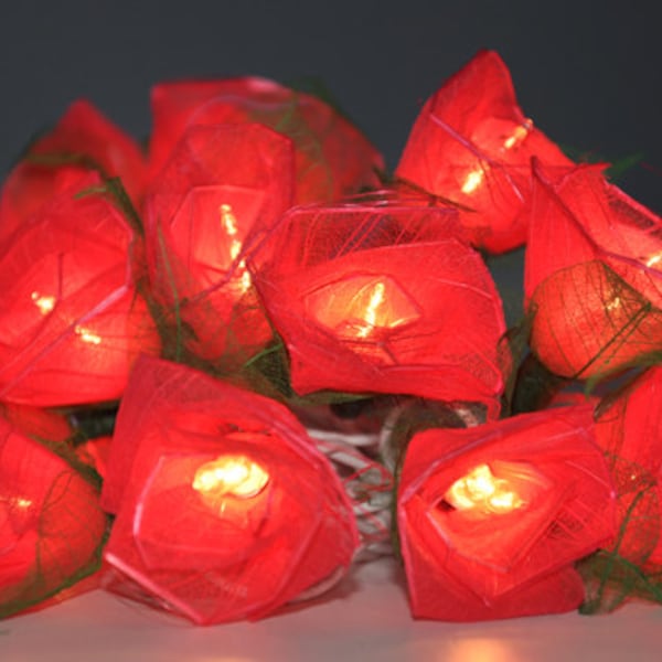 Rose String Lights - Etsy