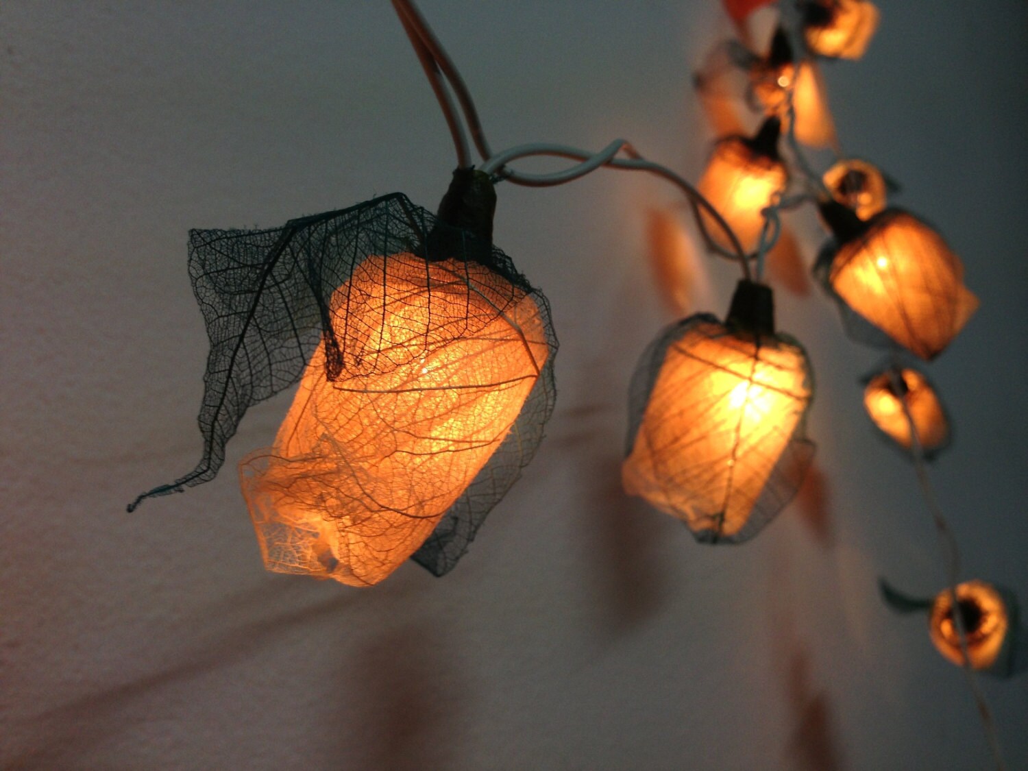 Natural White Rose Buds With Green Leaves String Lights for - Etsy