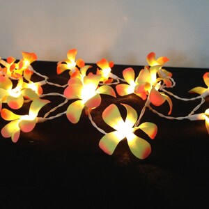 35 Bulbs Vintage Yellow Frangipani Flower String Lights - Etsy