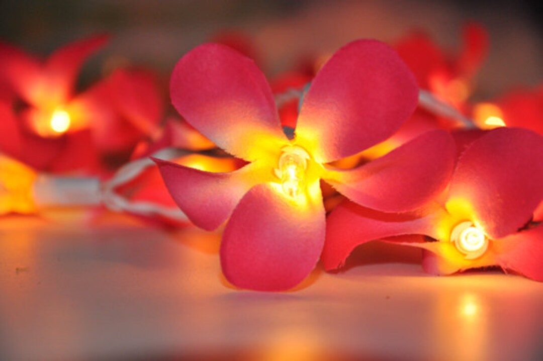 Pink With Yellow Frangipani Flower String Lights for - Etsy