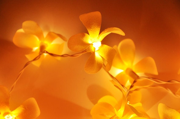 Yellow With Orange Frangipani Flower String Lights for - Etsy