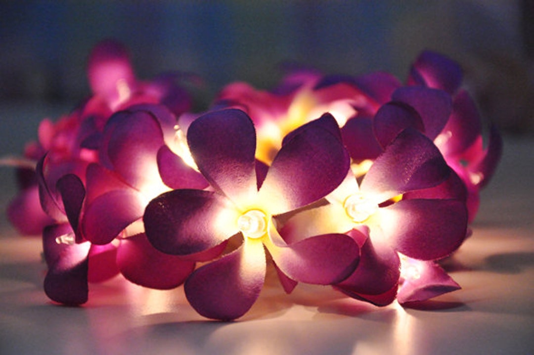 Purple Frangipani Flower String Lights for Patio,wedding,party and Decoration 20 Bulbs - Etsy