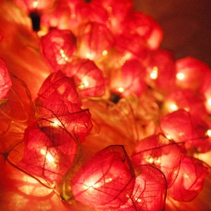 Red Rose String Lights for Patio,wedding,party and Decoration, Wedding ...