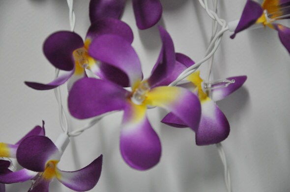Mixed Purple Frangipani Flower String Lights for - Etsy