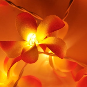 Mixed Red & Yellow Frangipani Flower String Lights for - Etsy