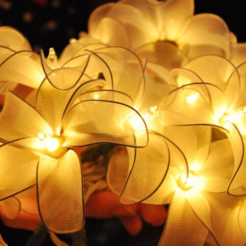 White Day-lily Flower String Lights for Patioweddingparty - Etsy