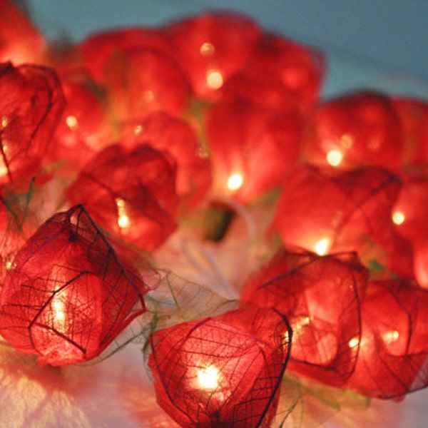 Rose String Lights - Etsy