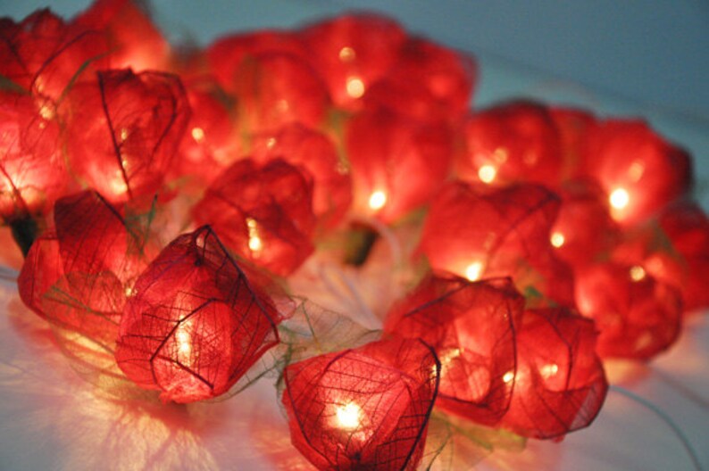 Red Rose String Lights for Patioweddingparty and Decoration - Etsy