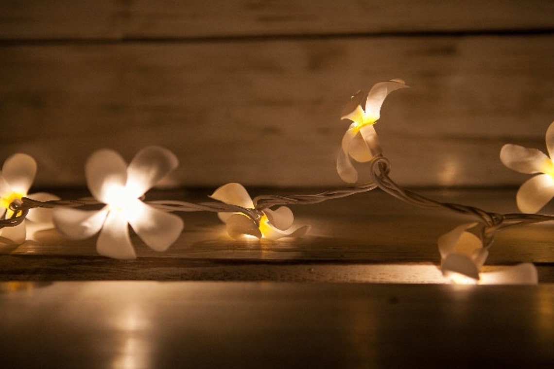 35 Bulbs Classic White Frangipani Flower String Lights for - Etsy