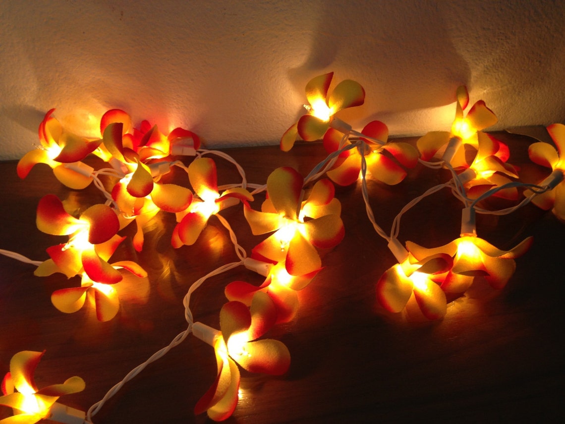 Vintage Yellow With Orange Frangipani Flower String Lights - Etsy