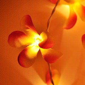 Mixed Red & Yellow Frangipani Flower String Lights for - Etsy