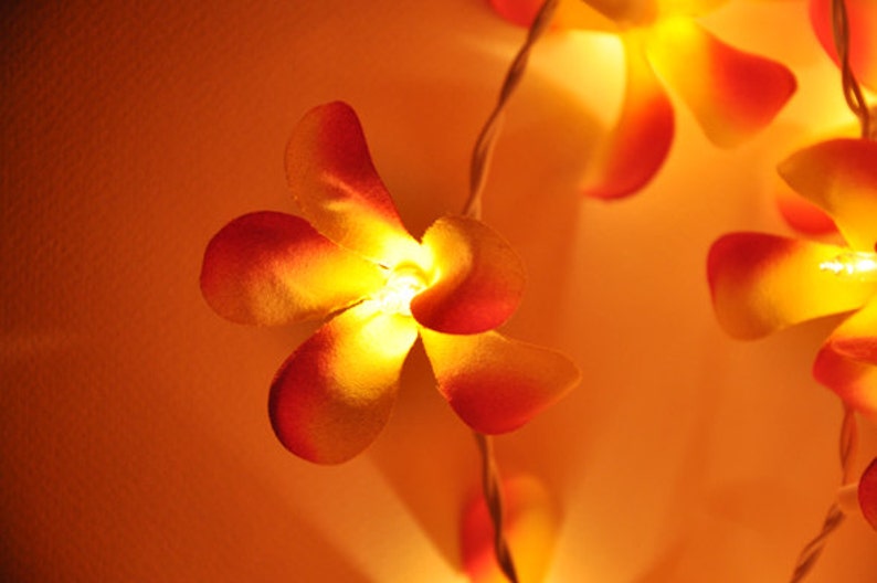 Mixed Red & Yellow Frangipani Flower String Lights for - Etsy