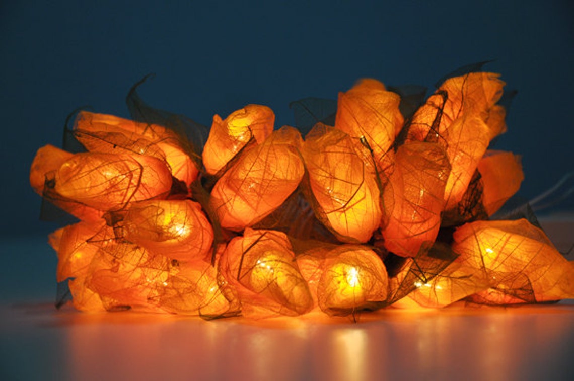 Orange Rose String Lights for Patioweddingparty and - Etsy