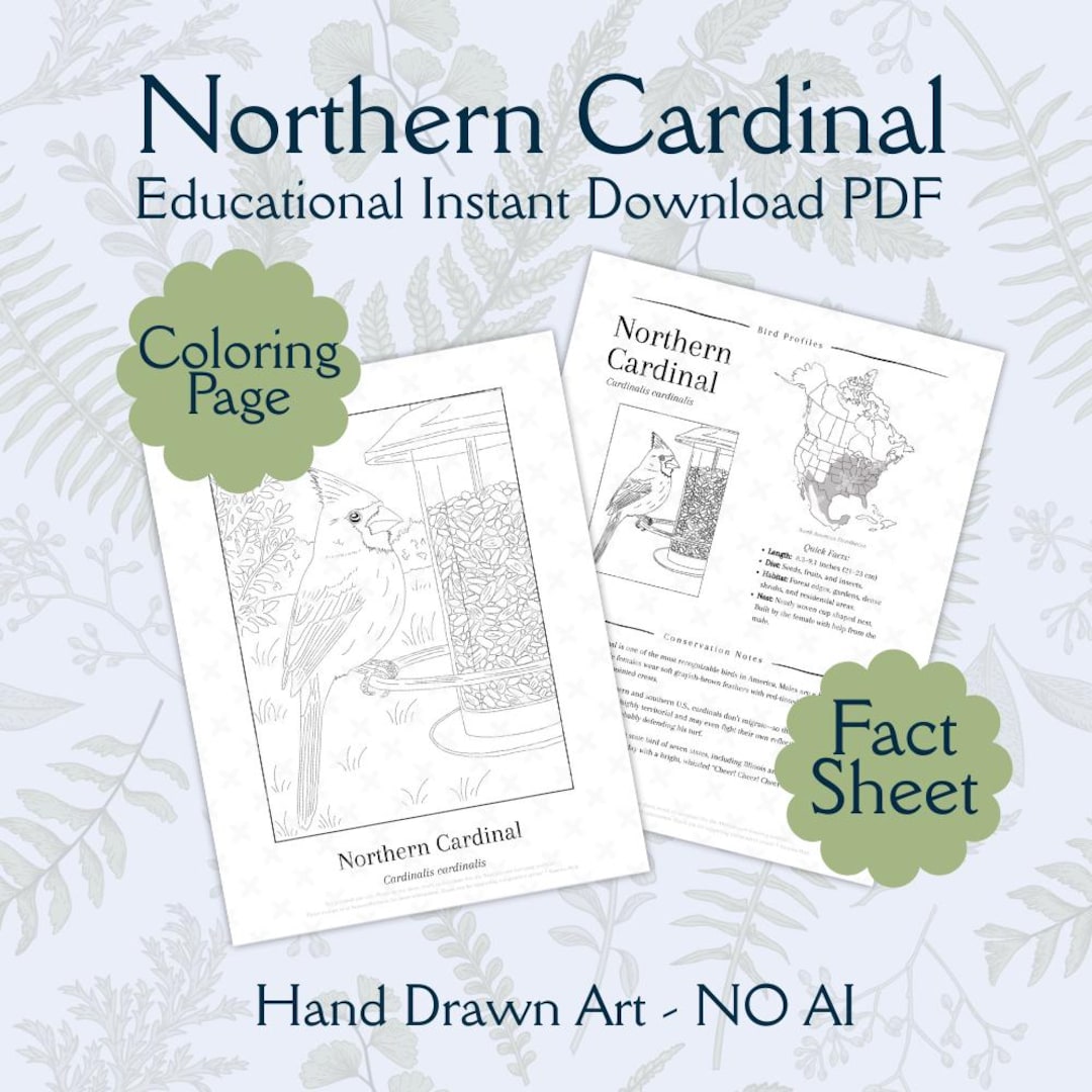 Northern Cardinal Coloring Page: Bird Facts, Educational Art (printable ...